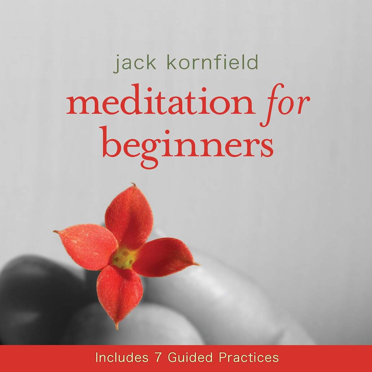 Best Meditation Books: 11 Guides to Inner Peace